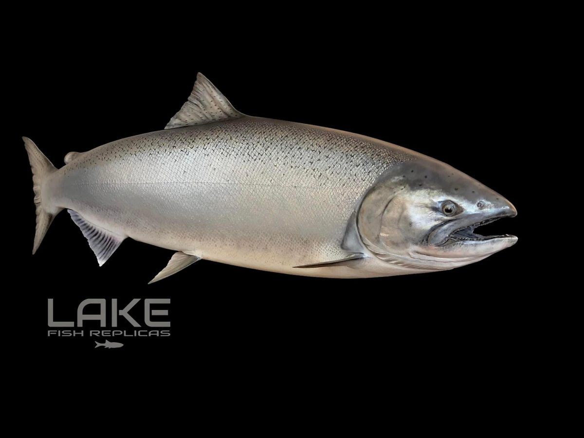 From Educator to Artisan: Joel Lake, LSSU Grad, Takes the Plunge into ...